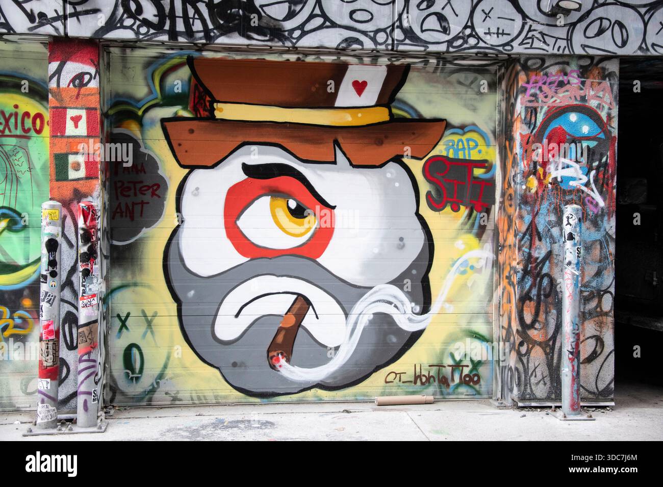 One eyed man smoking a cigar mural on a garage roll up door at Graffiti ...