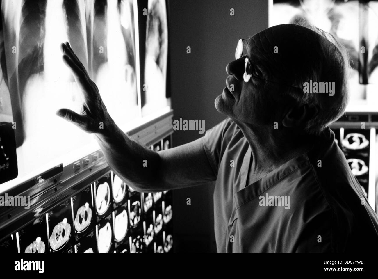 A doctor studies X-ray images on a light board inside a medical clinic ...