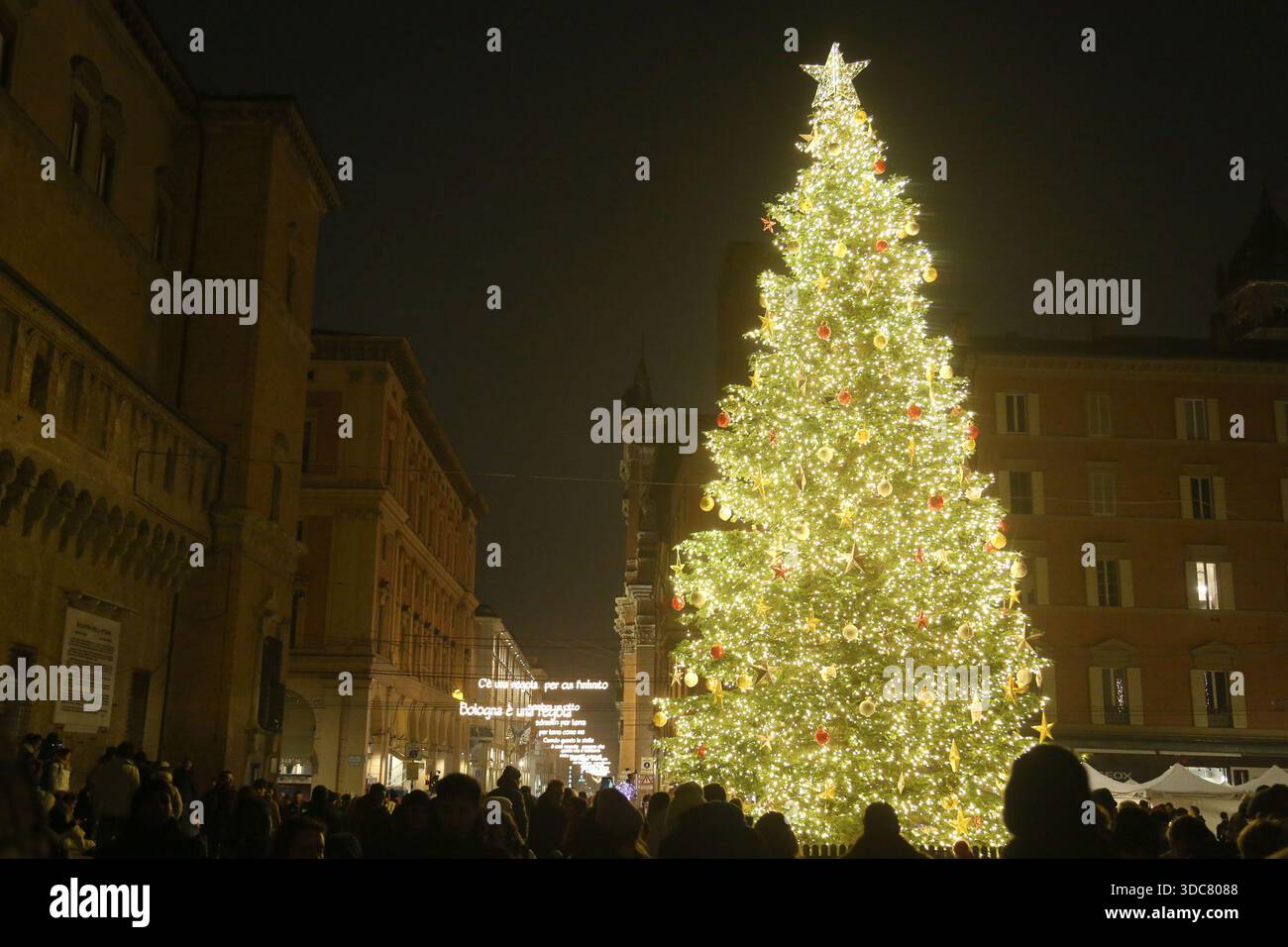 Bologna. The Christmas tree in Piazza Nettuno, with Via Indipendenza in ...