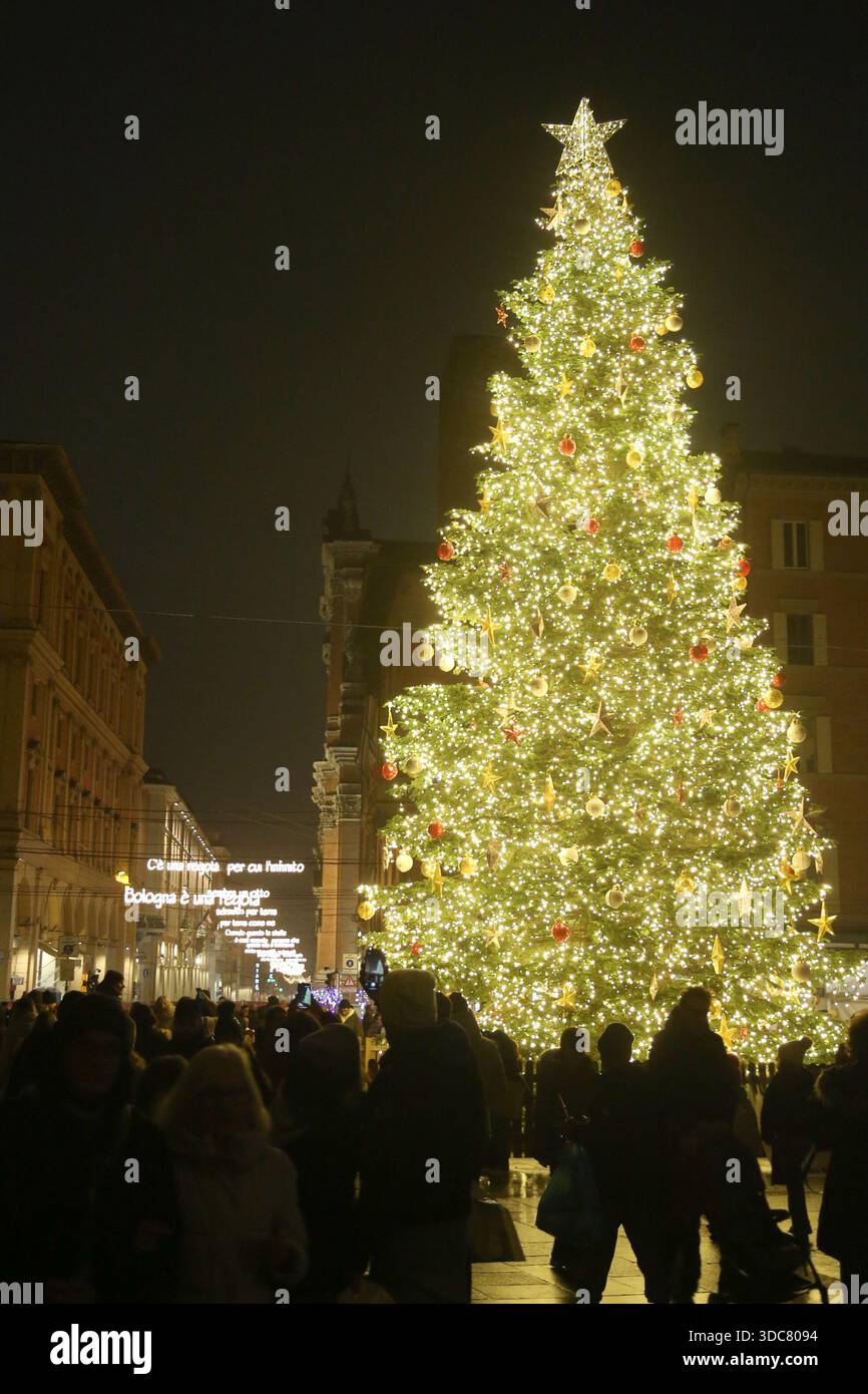 Bologna. The Christmas tree in Piazza Nettuno, with Via Indipendenza in ...