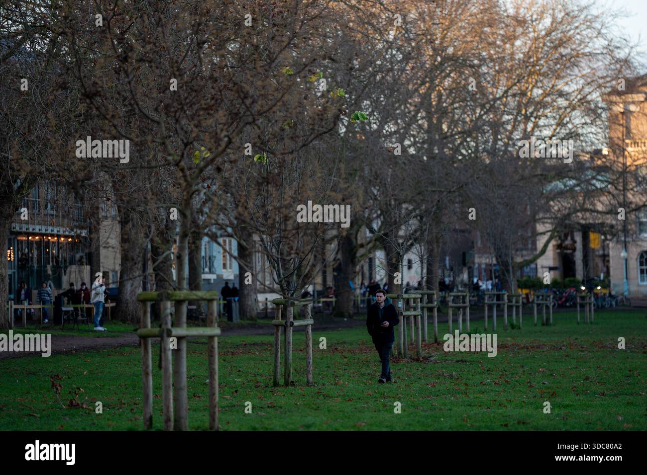 A man walking pass trees in a field on December 20, 2025 in Cambridge ...