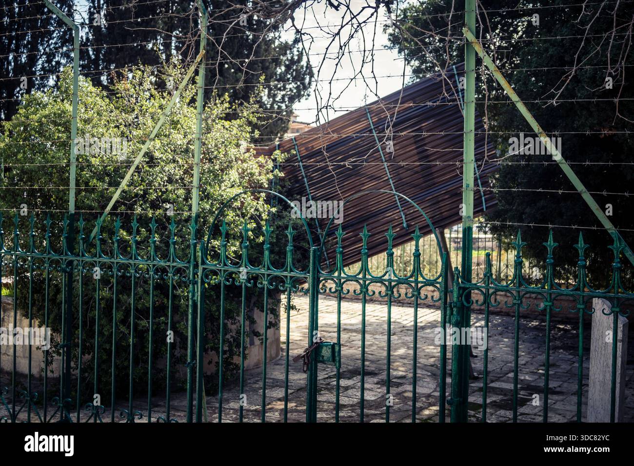 Hebron, West Bank, December 20, 2025 The ancient Oak of Mamre, over ...