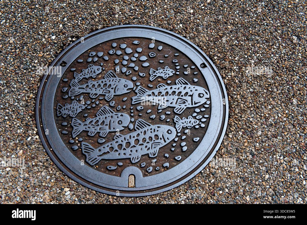 Japanese manhole cover art depicting fish swimming in the clear waters ...
