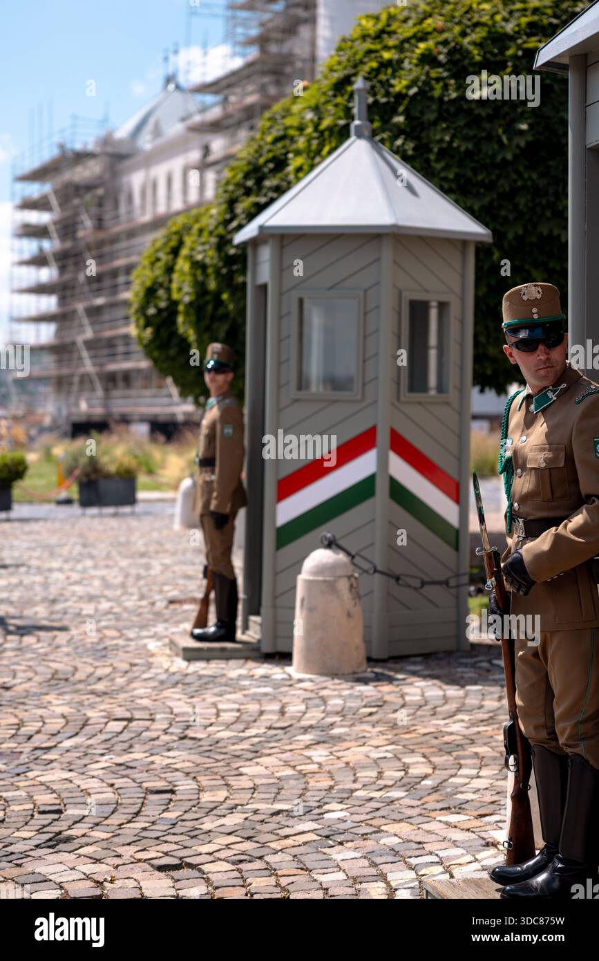 Members of the Hungarian Royal Guard standing watch near Buda Castle ...