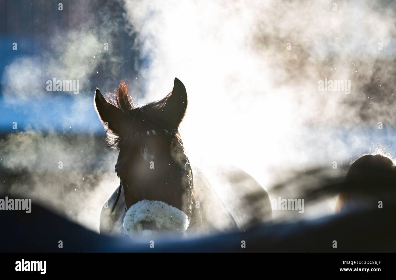 The howden christmas family raceday 2025 hi-res stock photography and ...