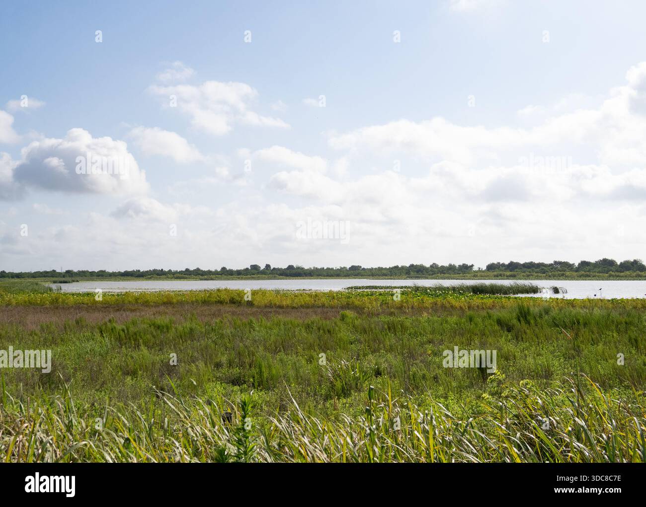 Matt cook memorial wildlife viewing platform hi-res stock photography ...
