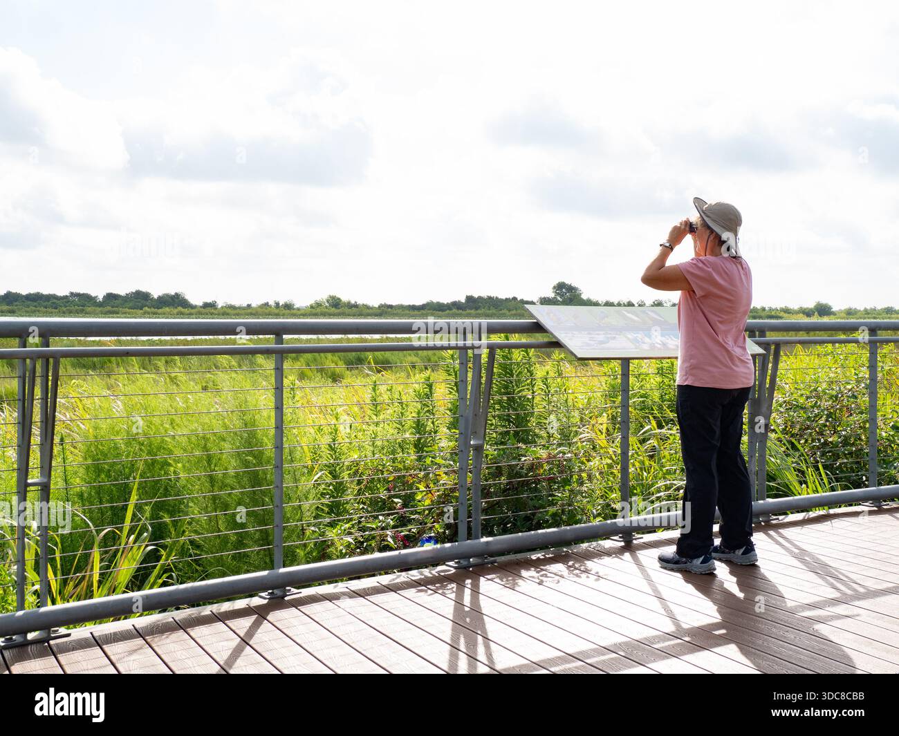 Matt cook memorial wildlife viewing platform hi-res stock photography ...
