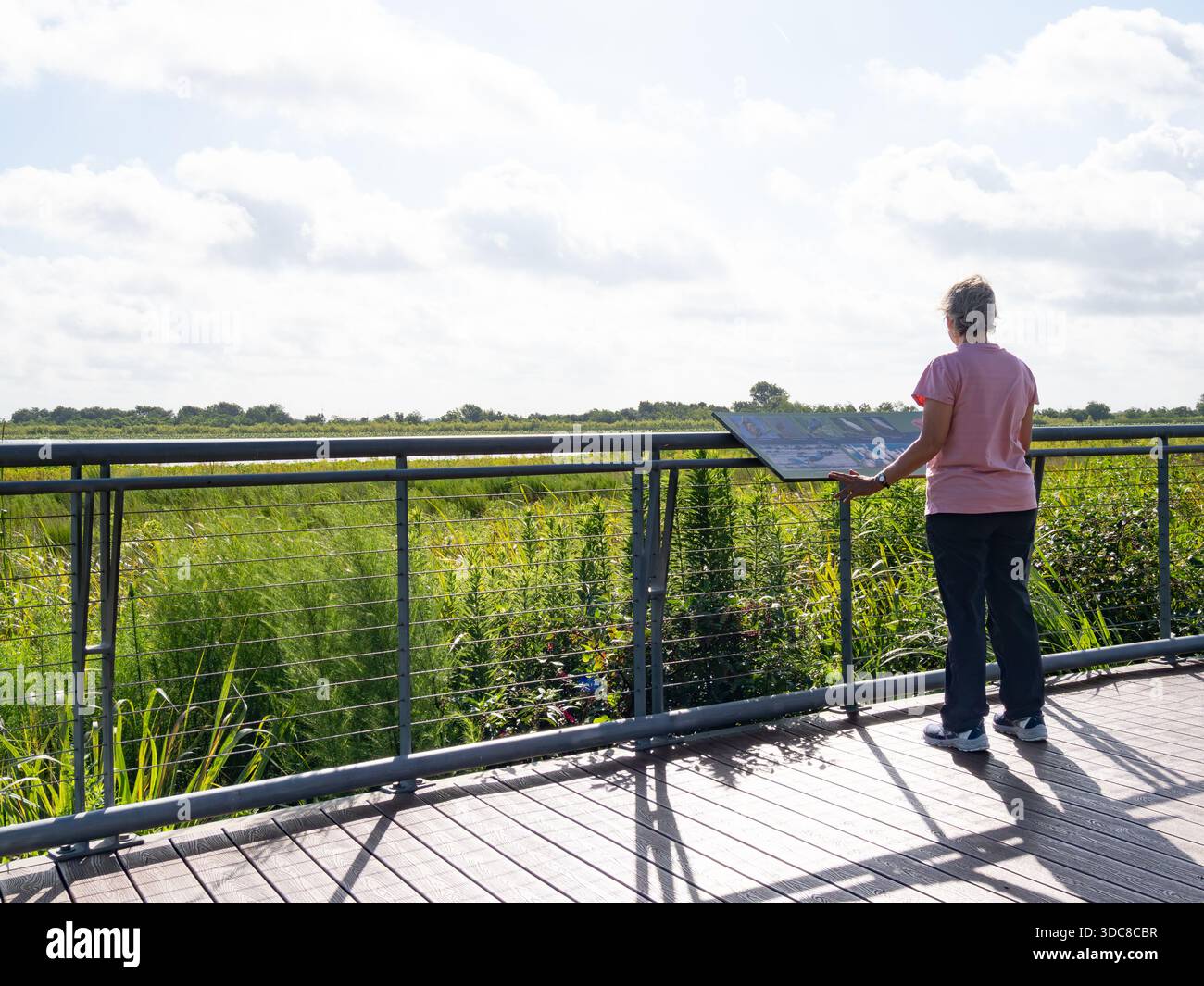 Matt cook memorial wildlife viewing platform hi-res stock photography ...