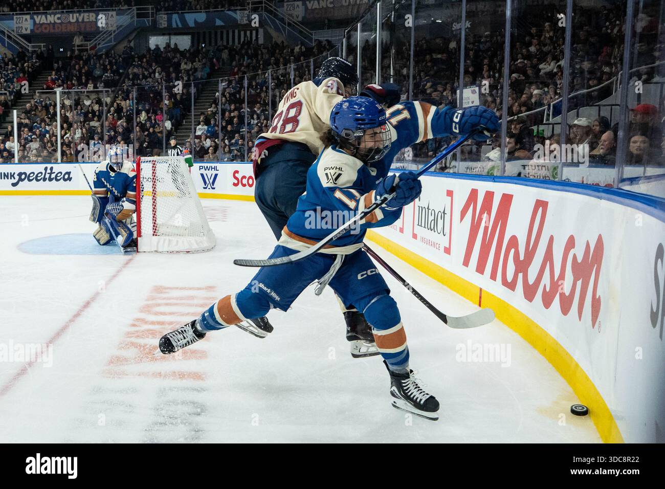 Montreal Victoire's Skylar Irving (88) hits Vancouver Goldeneyes ...
