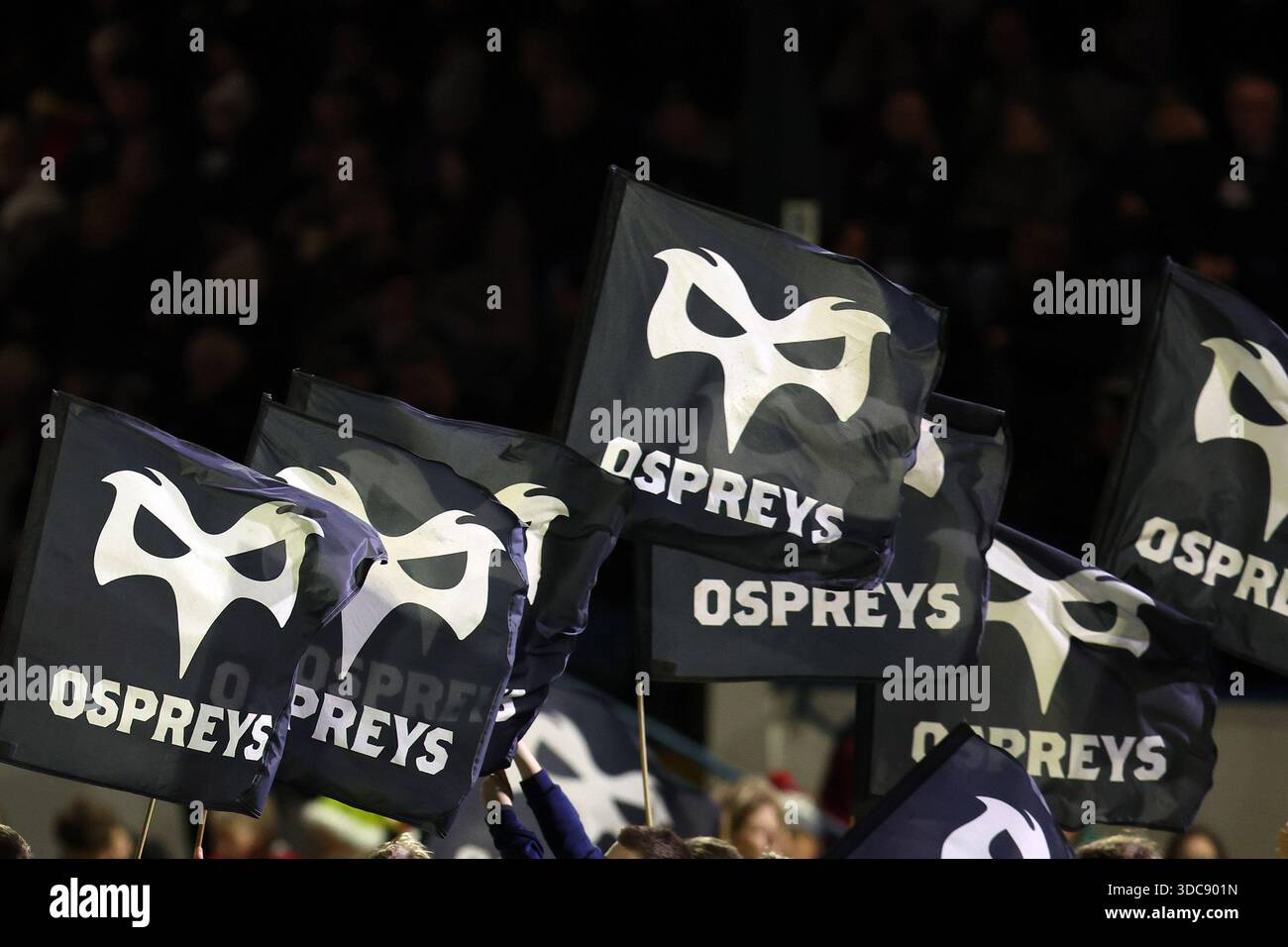 Ospreys flags are waved ahead of the game. United Rugby Championship ...
