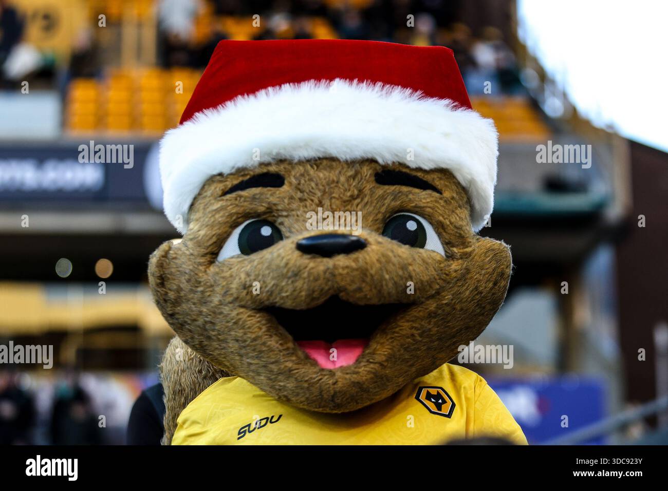 Wolves mascot during the Premier League football match between ...