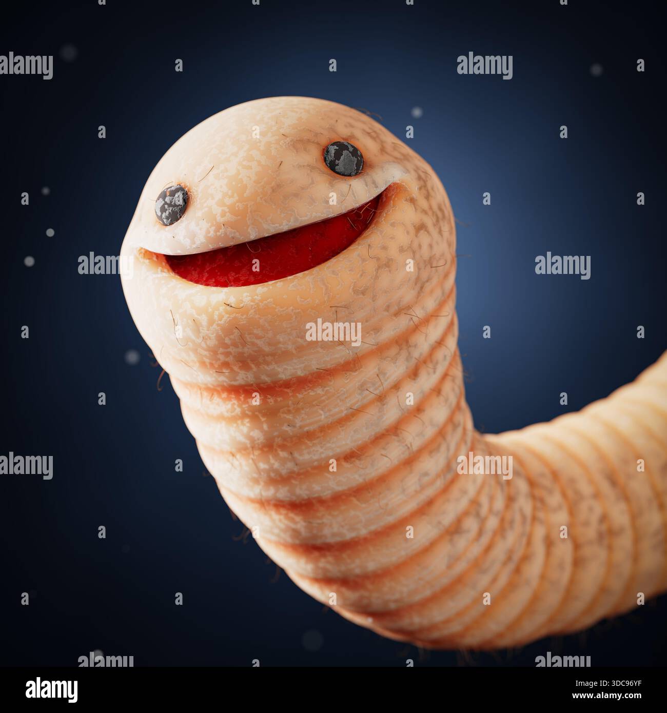Soft bl hi-res stock photography and images - Alamy