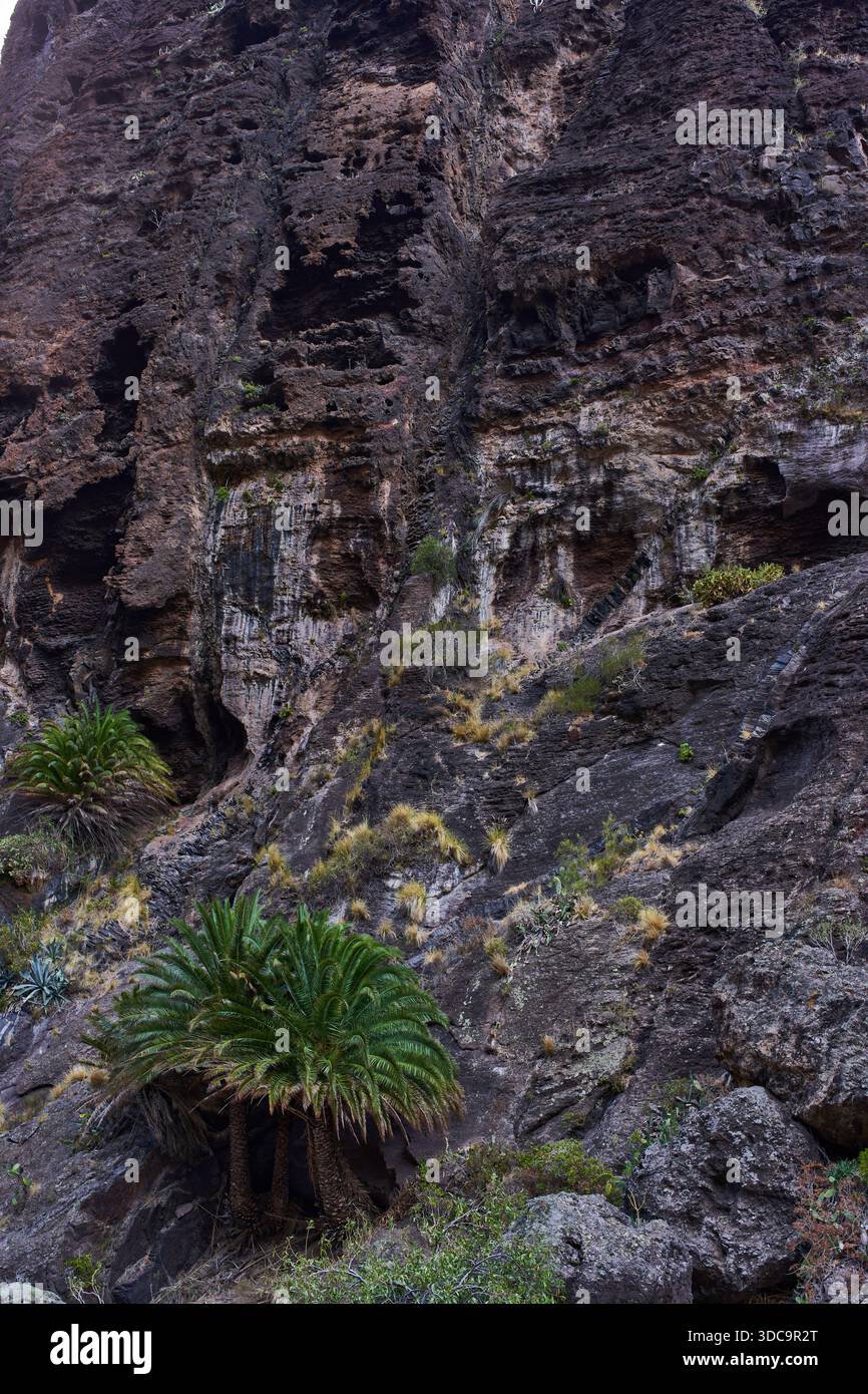 Dramatic masca valley gorge hi-res stock photography and images - Alamy
