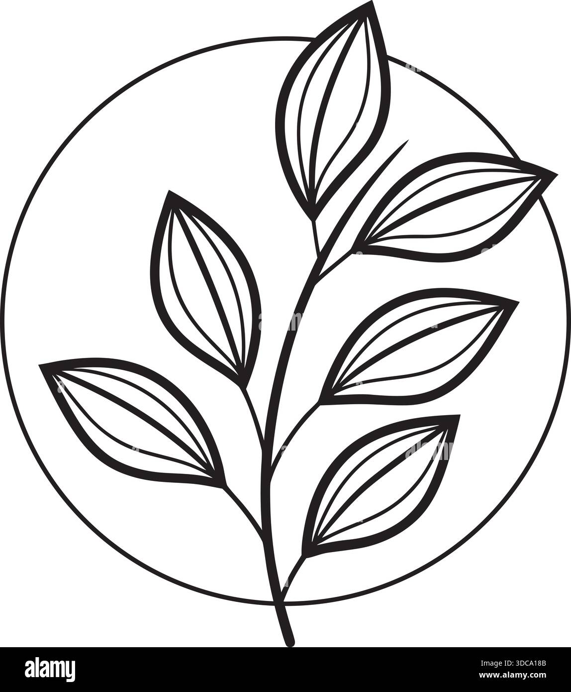 Minimalist leaf illustration clean Stock Vector Images - Alamy