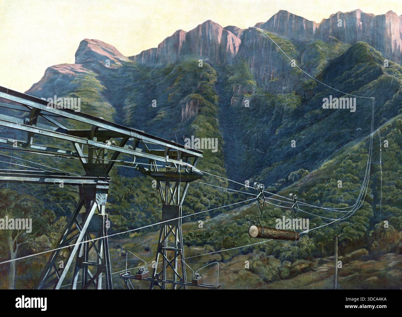 Cable car for transporting timber in Cameroon, Africa, authentic ...