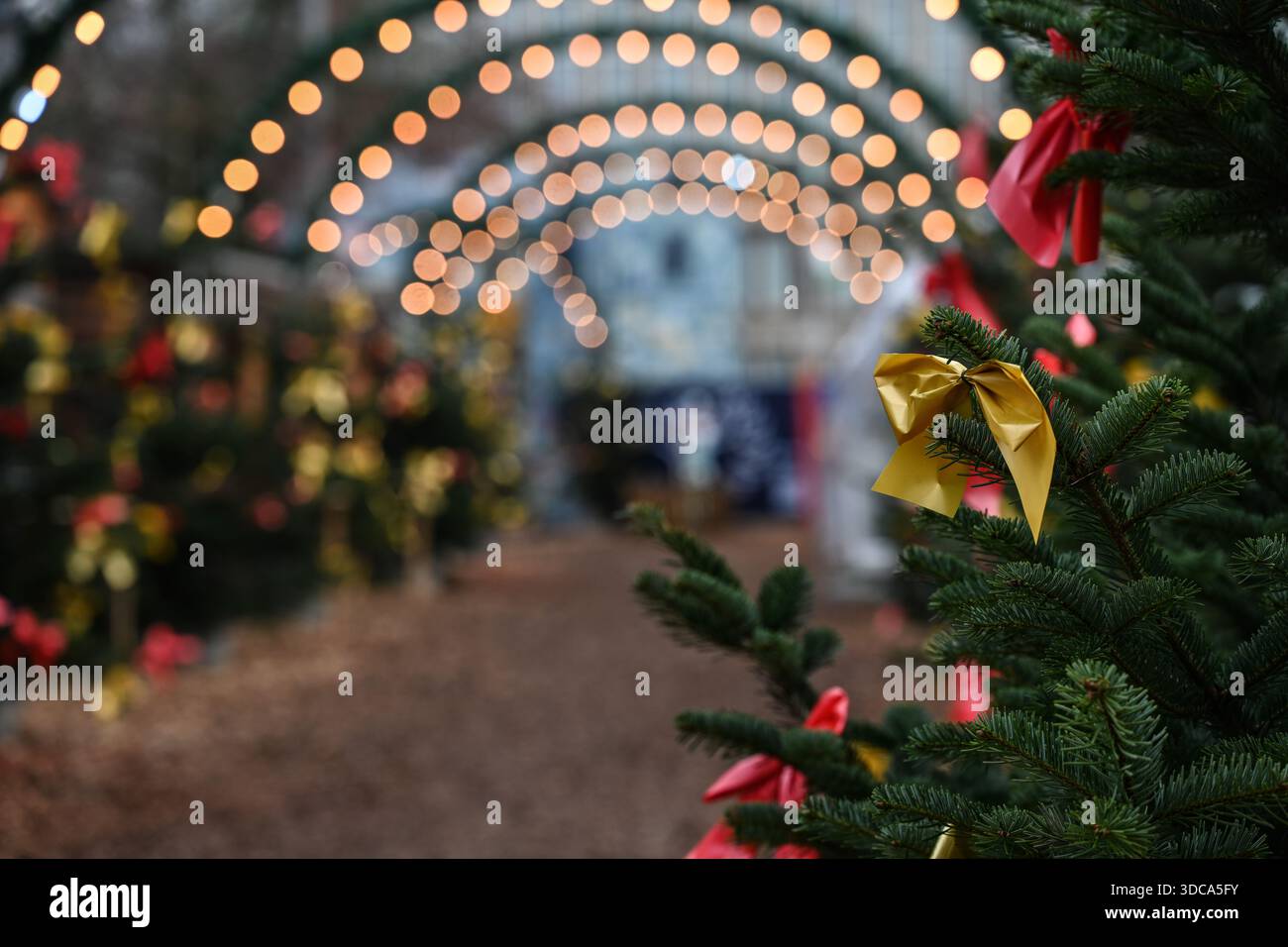21 December 2025, Lower Saxony, Emden: Twinkling lights at the ...