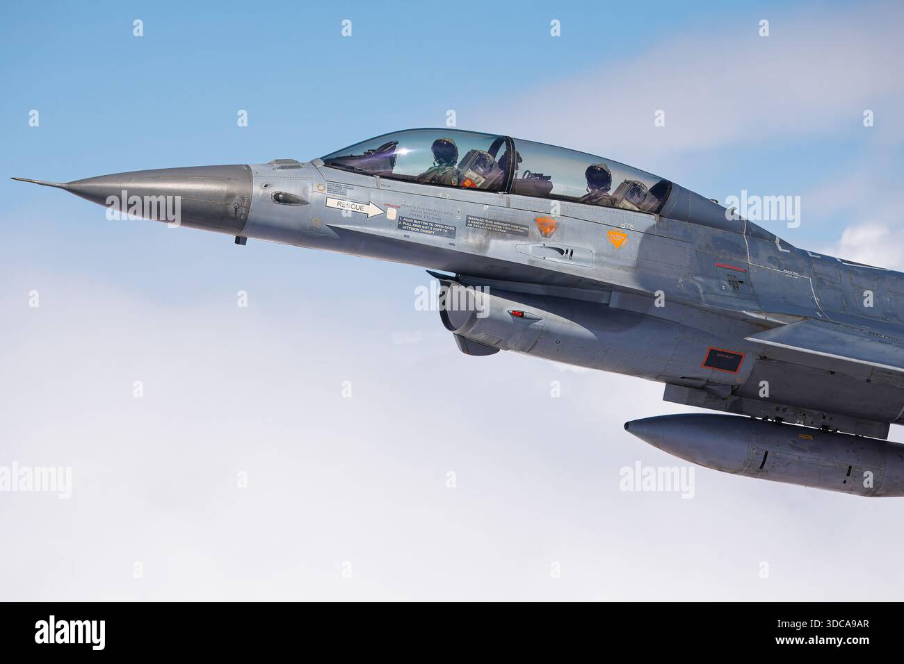 The General Dynamics F-16 Fighting Falcon, including F-16AM and F-16BM ...