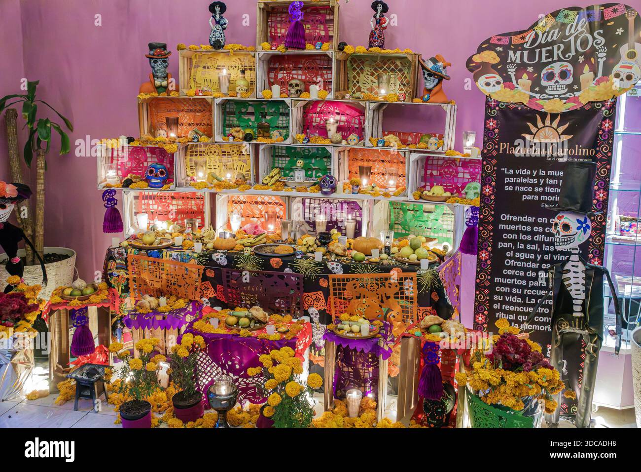Puebla Mexico,historic Centro historico center centre,Dia de Muertos ...