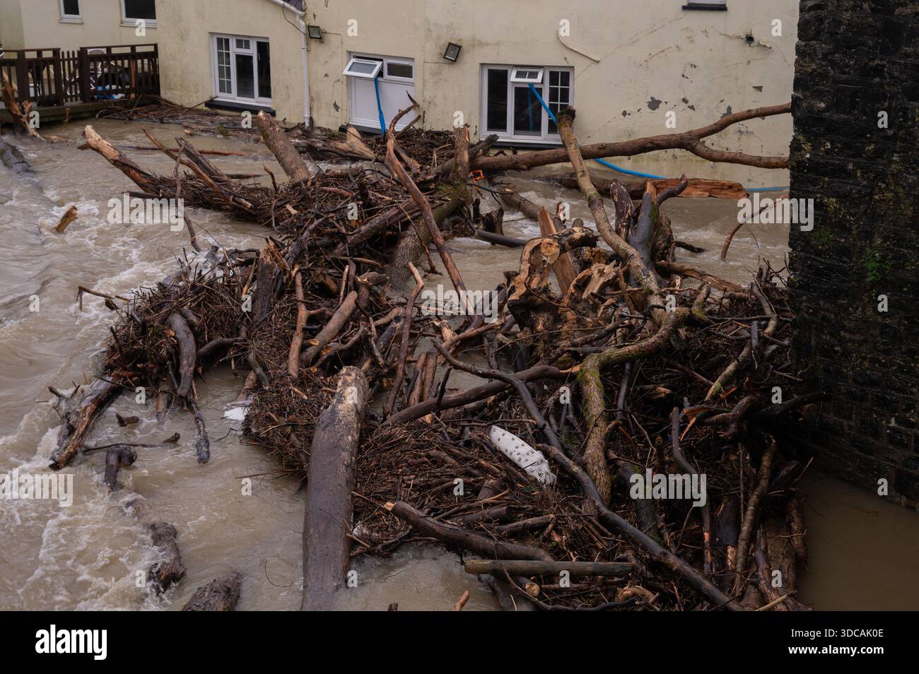 Large trees blocked by bridge across the Afon Cothi causing damage to ...
