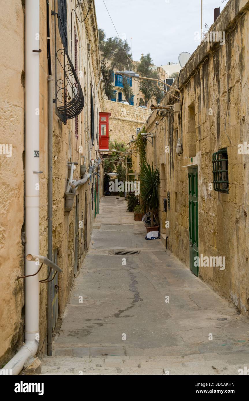 Narrow vegetation lined street hi-res stock photography and images - Alamy