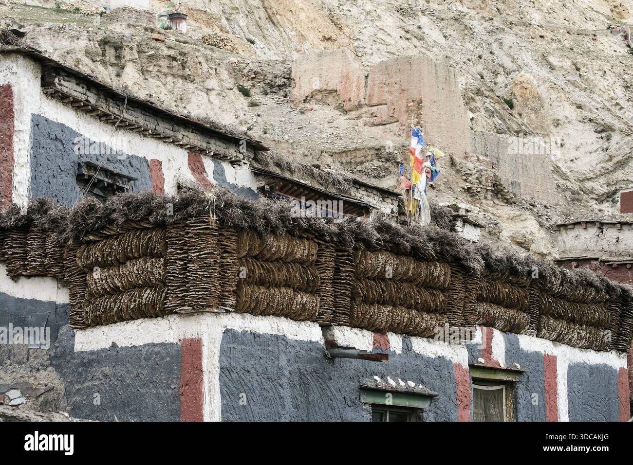 Yak dung patties on a building in tibet hi-res stock photography and ...