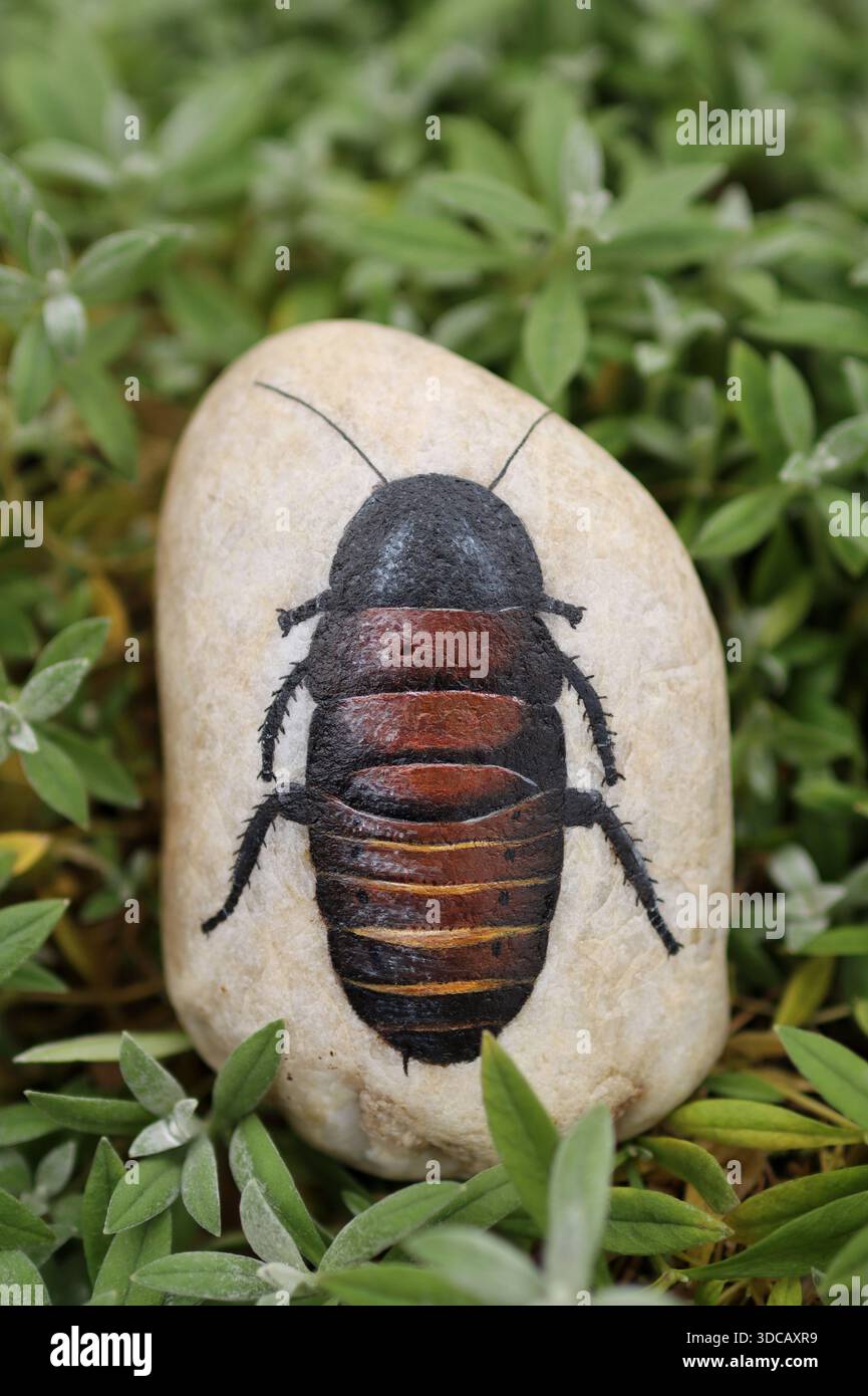 hand painted cockroach on stone. it looks like life Stock Photo - Alamy