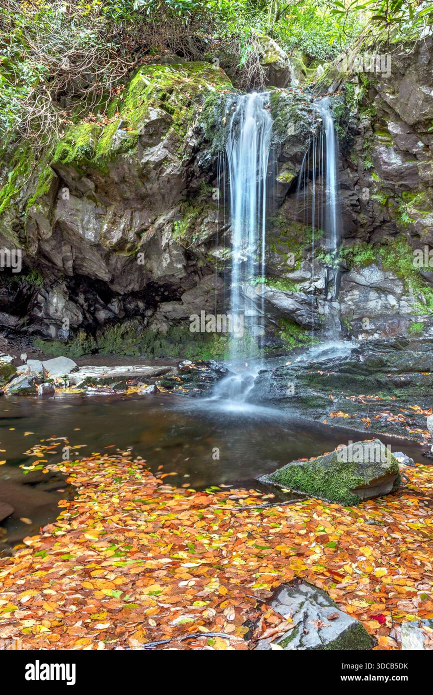 Grotto falls smoky mountains hi-res stock photography and images - Alamy
