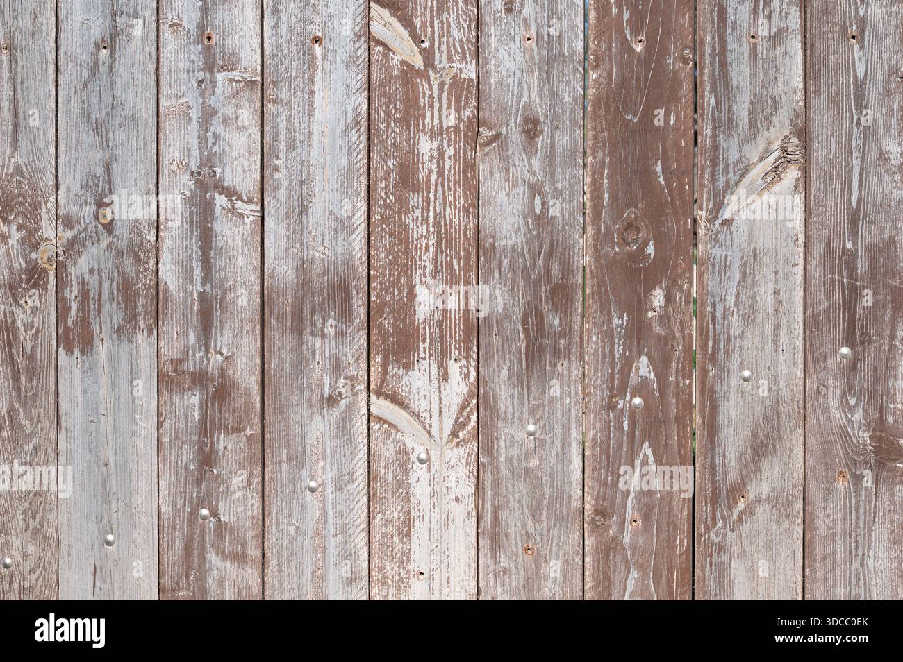 Weathered pale wooden panel fence with vertical planks, usable as ...