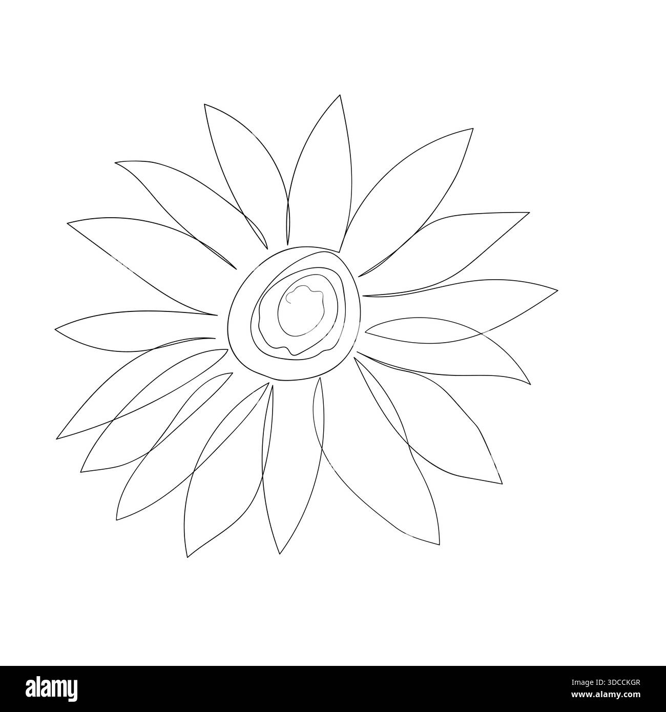 Floral silhouette art line. Flowers in continuous line drawing style ...