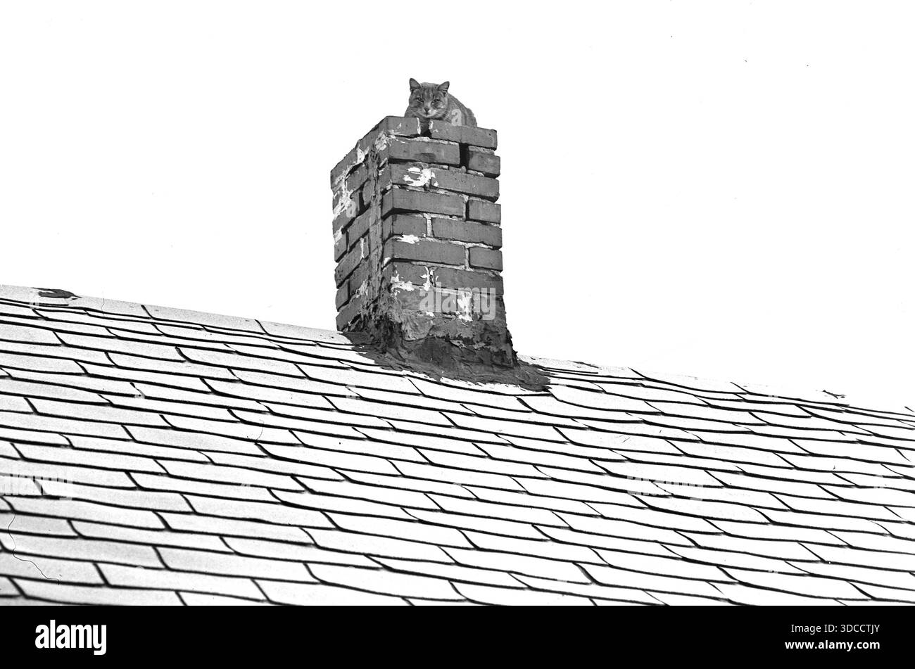 Keeps history Black and White Stock Photos & Images - Alamy