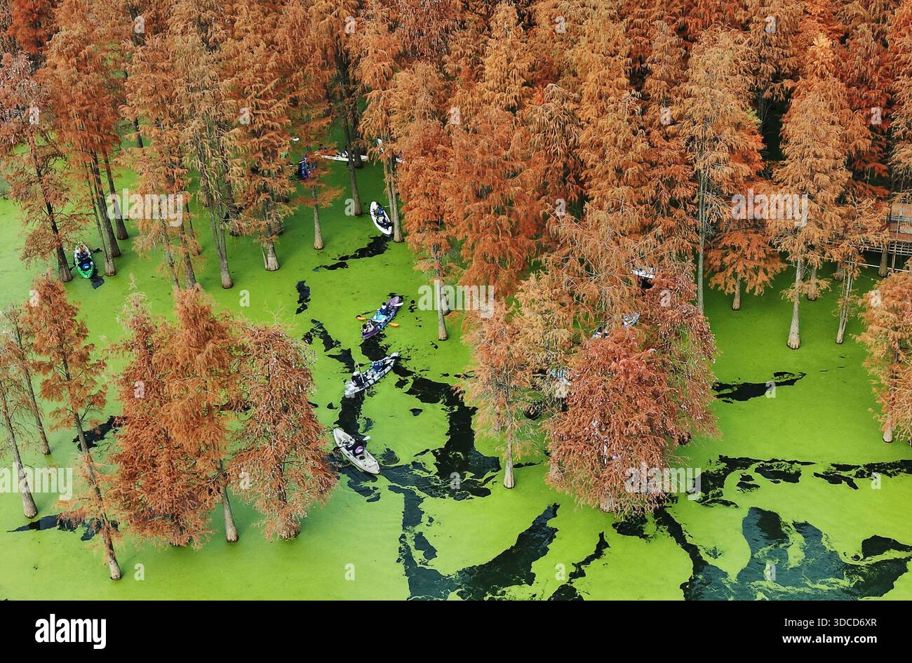 HANGZHOU, CHINA - DECEMBER 22, 2025 - Tourists take a boat tour of ...