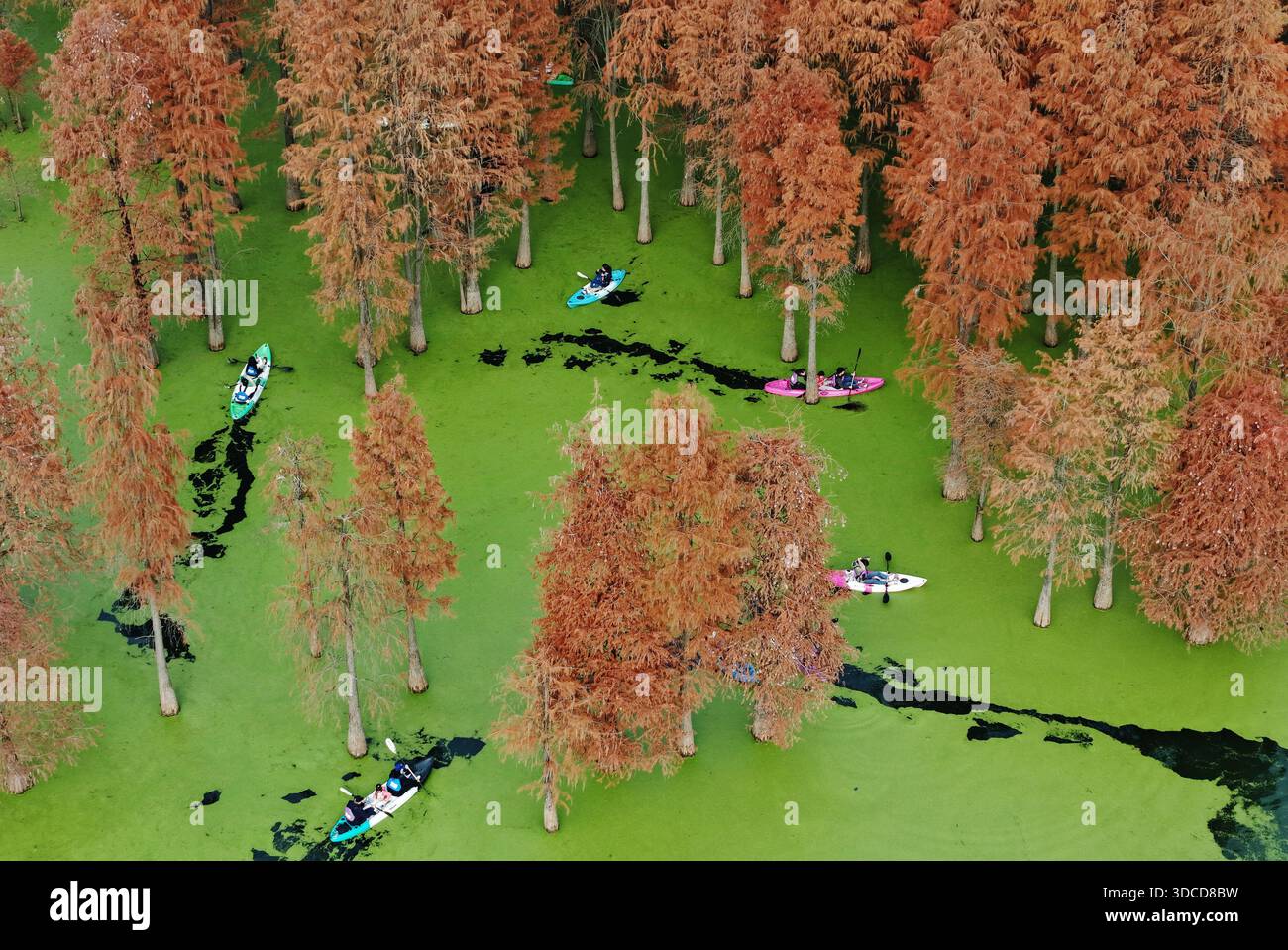 HANGZHOU, CHINA - DECEMBER 22, 2025 - Tourists take a boat tour of ...
