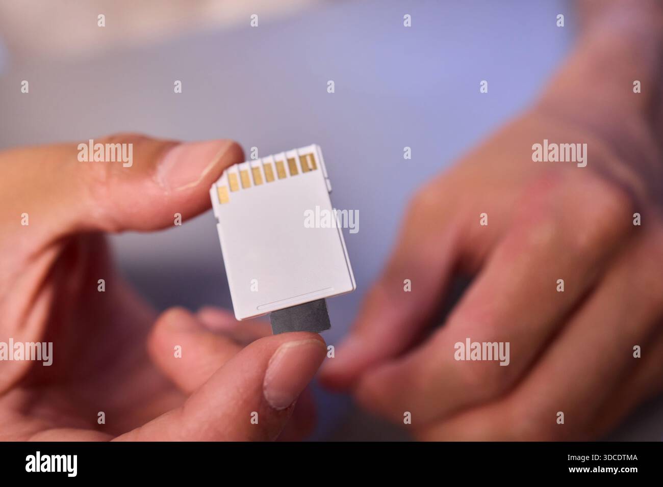 Comparison of SD and MicroSD Cards in Different Hands and Their Various ...