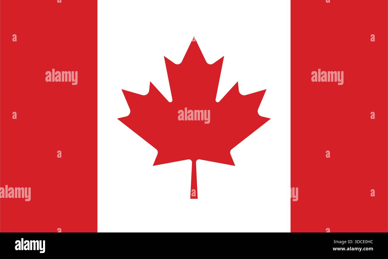 Bright red and white Canadian flag featuring the iconic eleven point ...