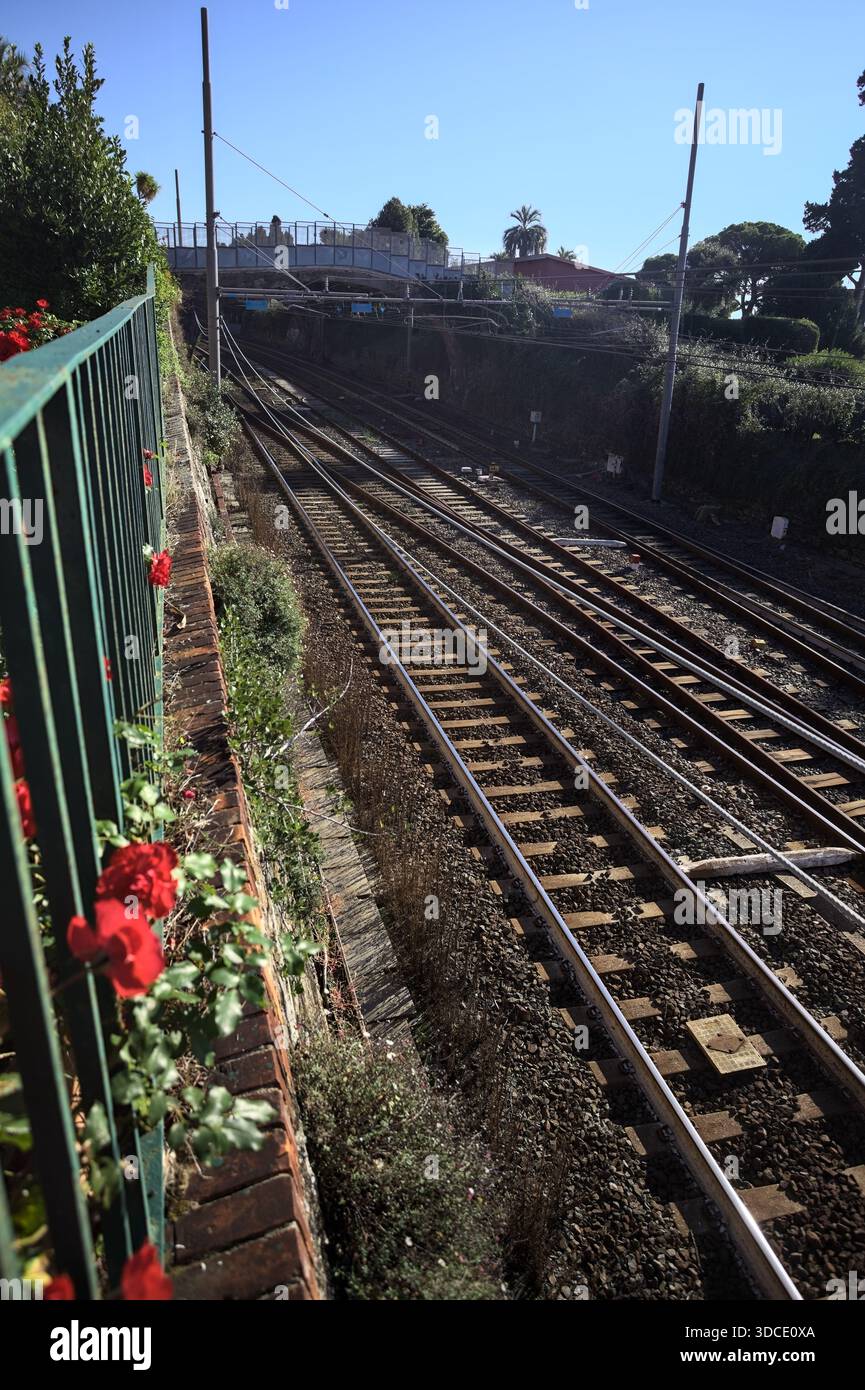 Railroad tracks passing next to a park by the seaside on a sunny day ...