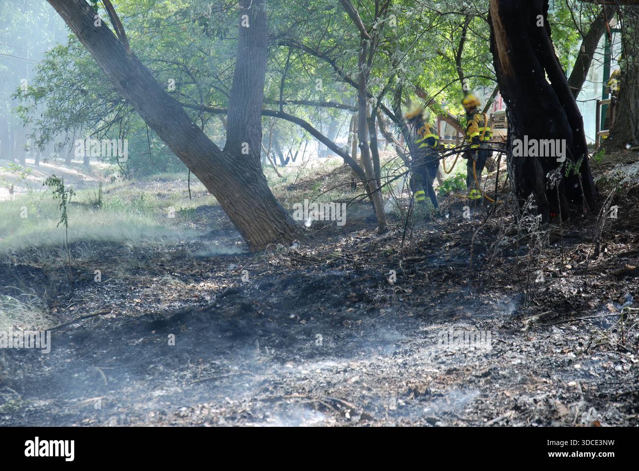 Smouldering Ground