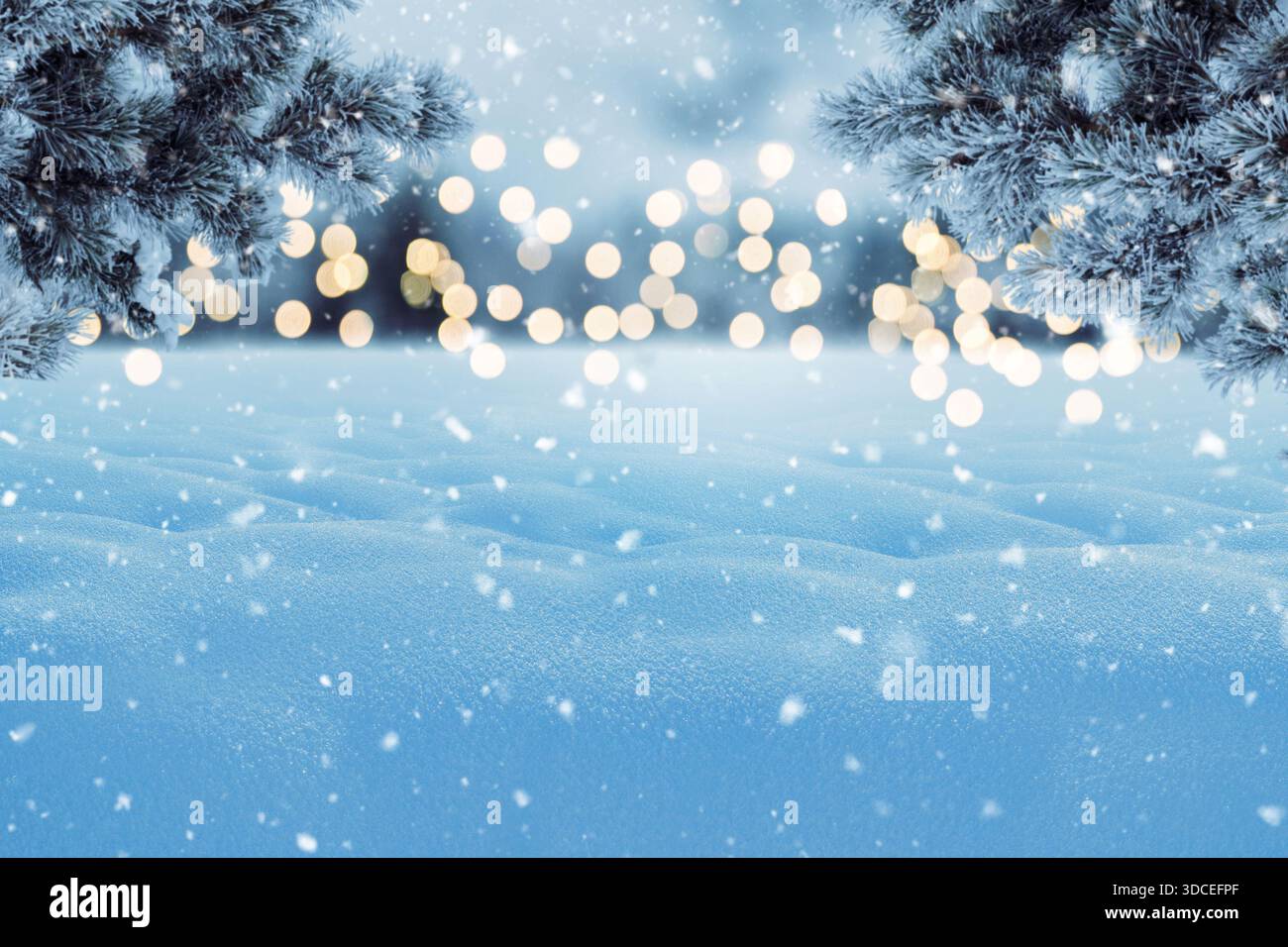 Magical Christmas Scene: Sparkling winter background featuring fresh ...