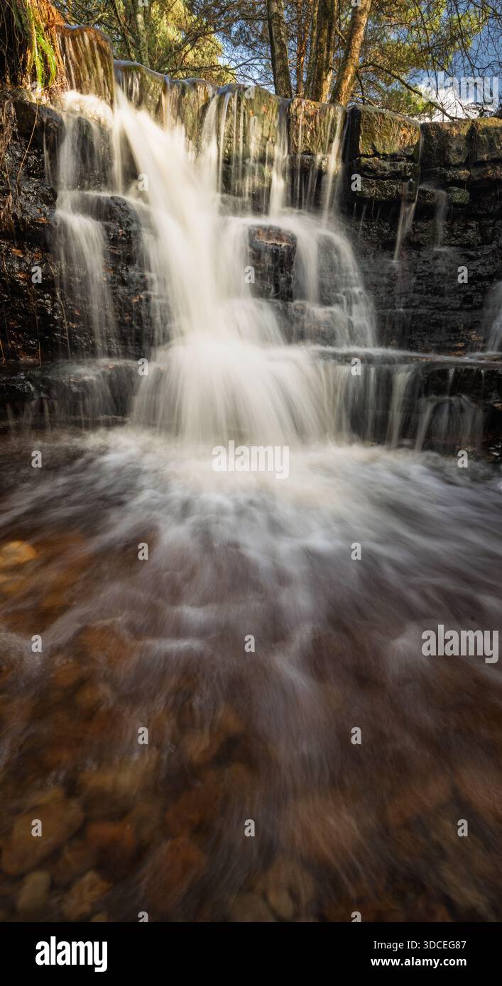 The garden of eden waterfall after December heavy in Ashdown forest on ...
