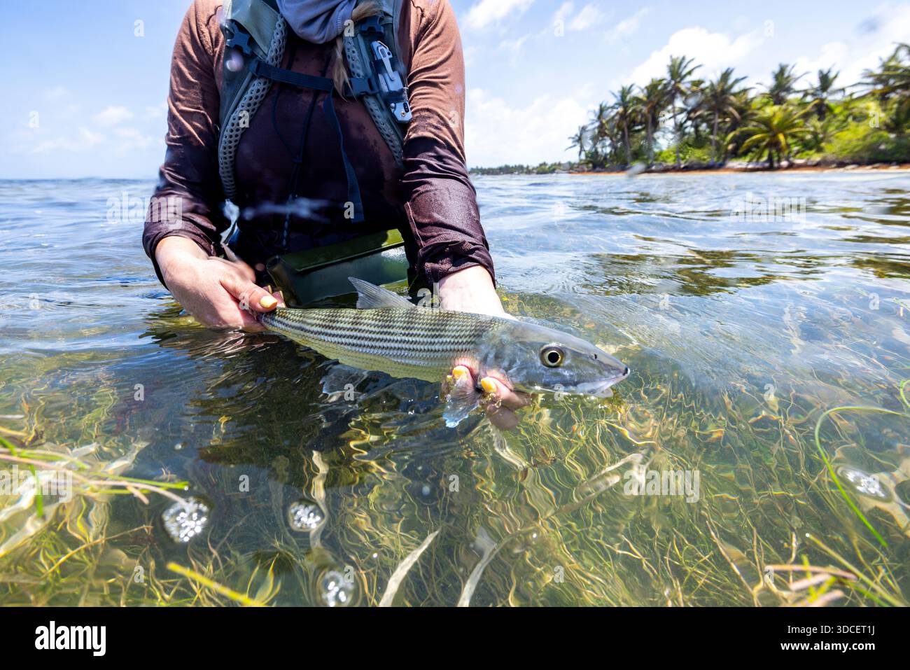 Bone fish lagoon hi-res stock photography and images - Alamy