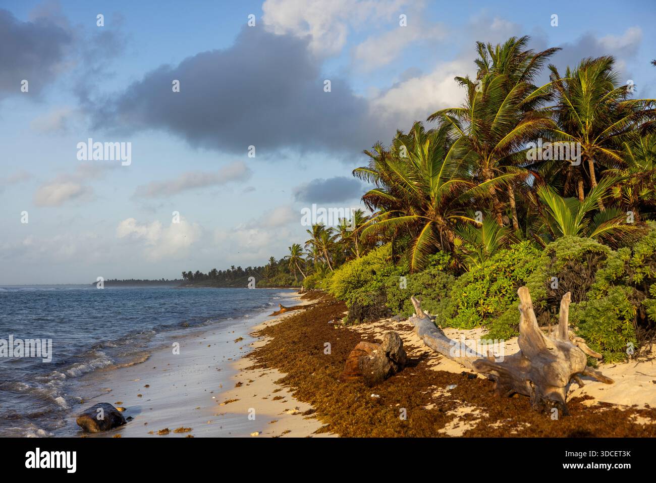 Beach near barrier reef hi-res stock photography and images - Alamy
