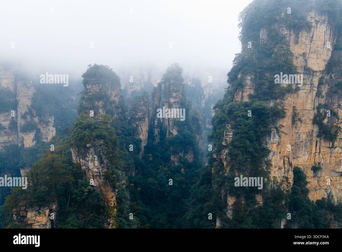 Aerial view of majestic sandstone pillars pierce through the misty veil ...