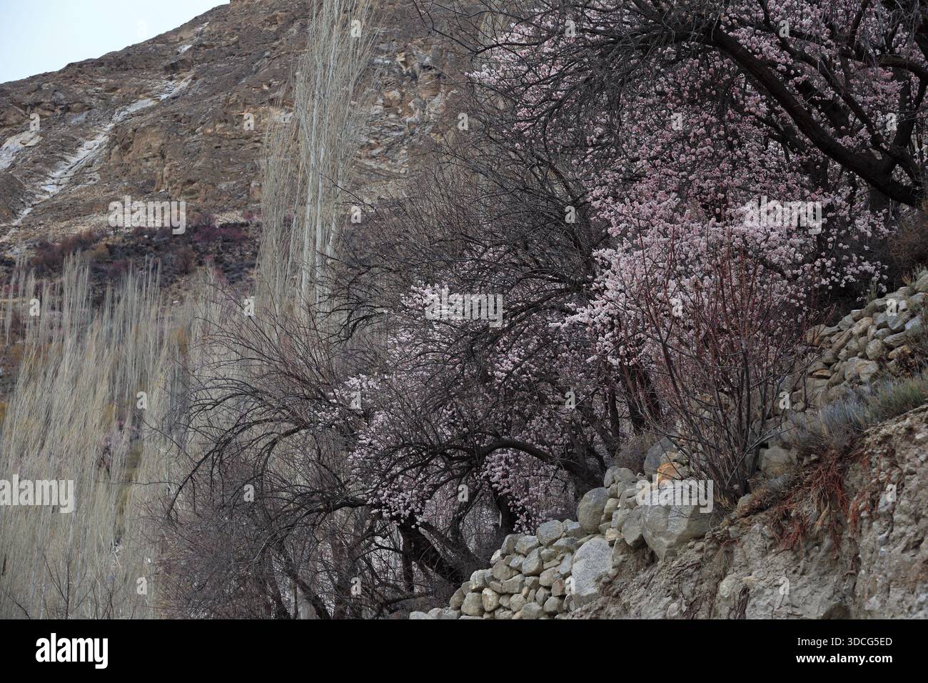 Stark cliffs contrasting hi-res stock photography and images - Alamy