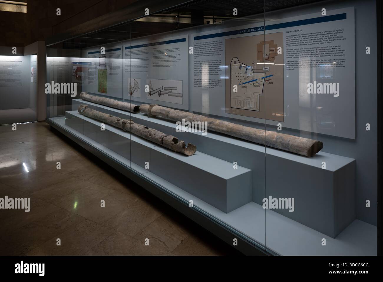 Display of ancient artifacts in a museum, featuring long cylindrical ...
