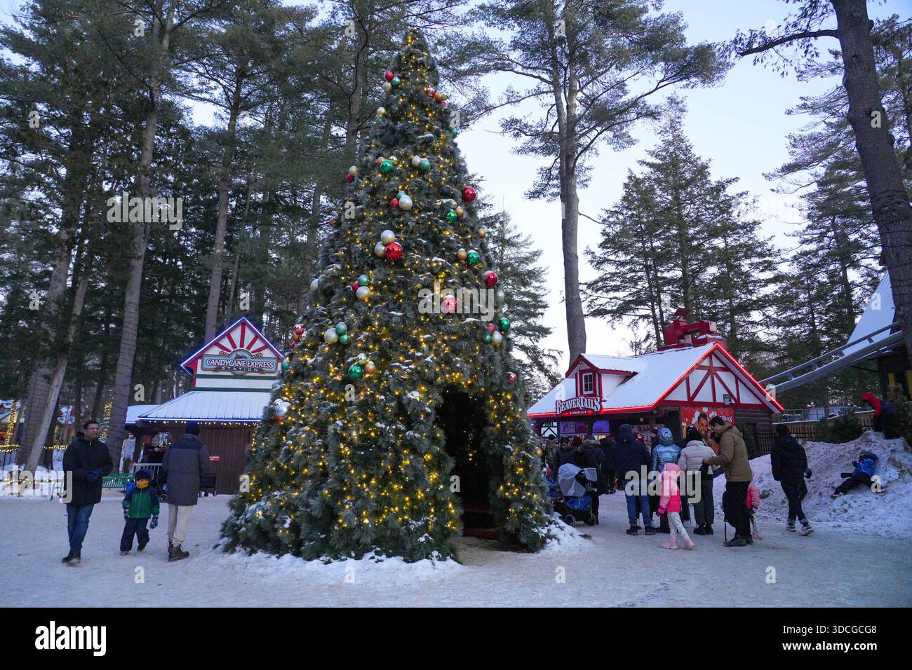 A general view showing the people visiting the Christmas Santa’s ...