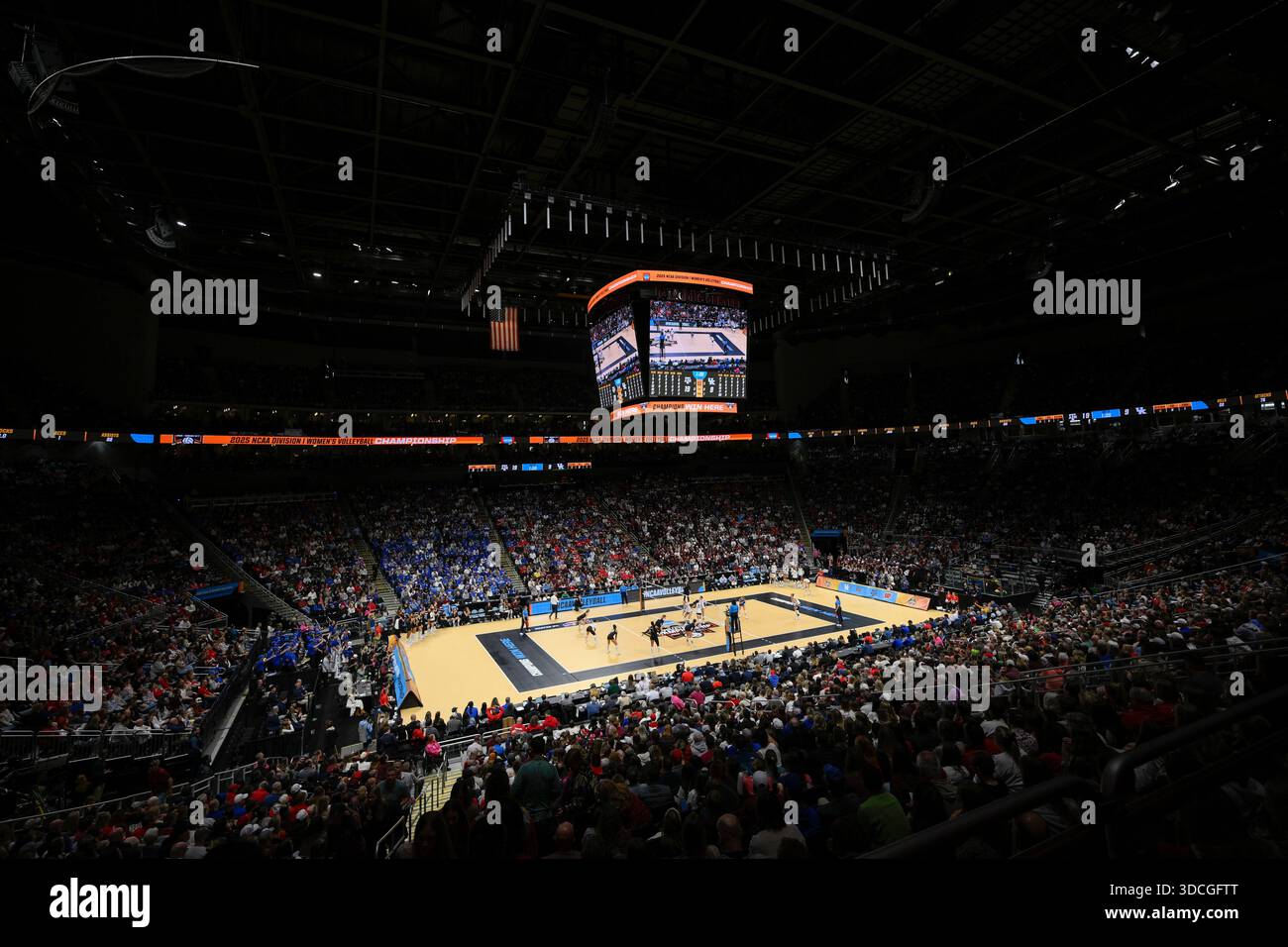 Texas A&M and Kentucky compete in the NCAA Division 1 college ...