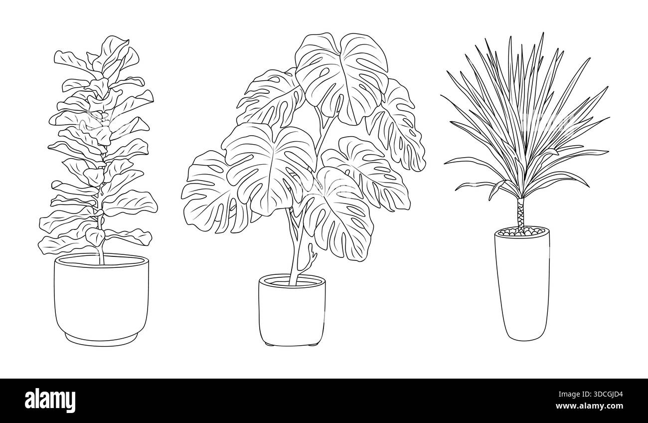 Potted house plants line Stock Vector Images - Alamy