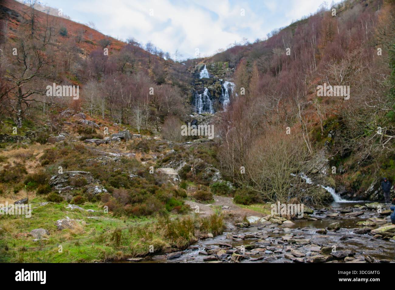 Rhiwagor Waterfall, Afon Eiddew, Lake Vyrnwy, Oswestry, Wales Stock ...