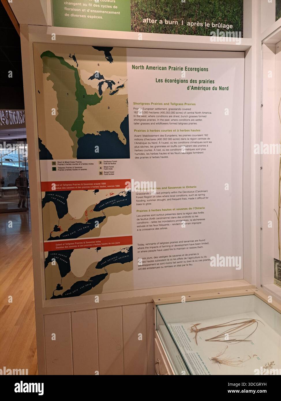 North American prairie ecoregions information sign at the Royal Ontario ...