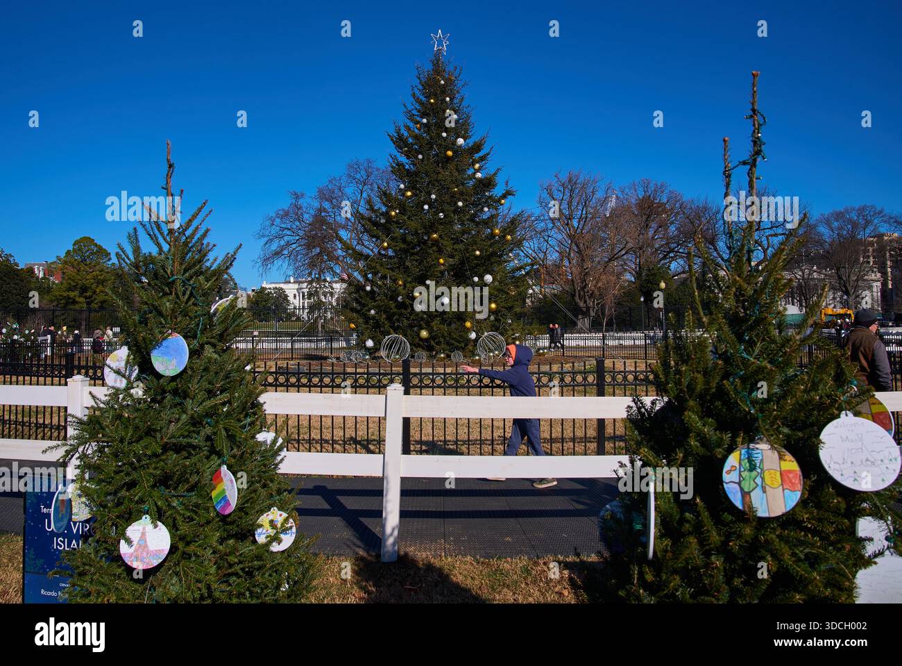 Teddy Hebdon, 9, of Springfield, Va., points at the tree representing ...