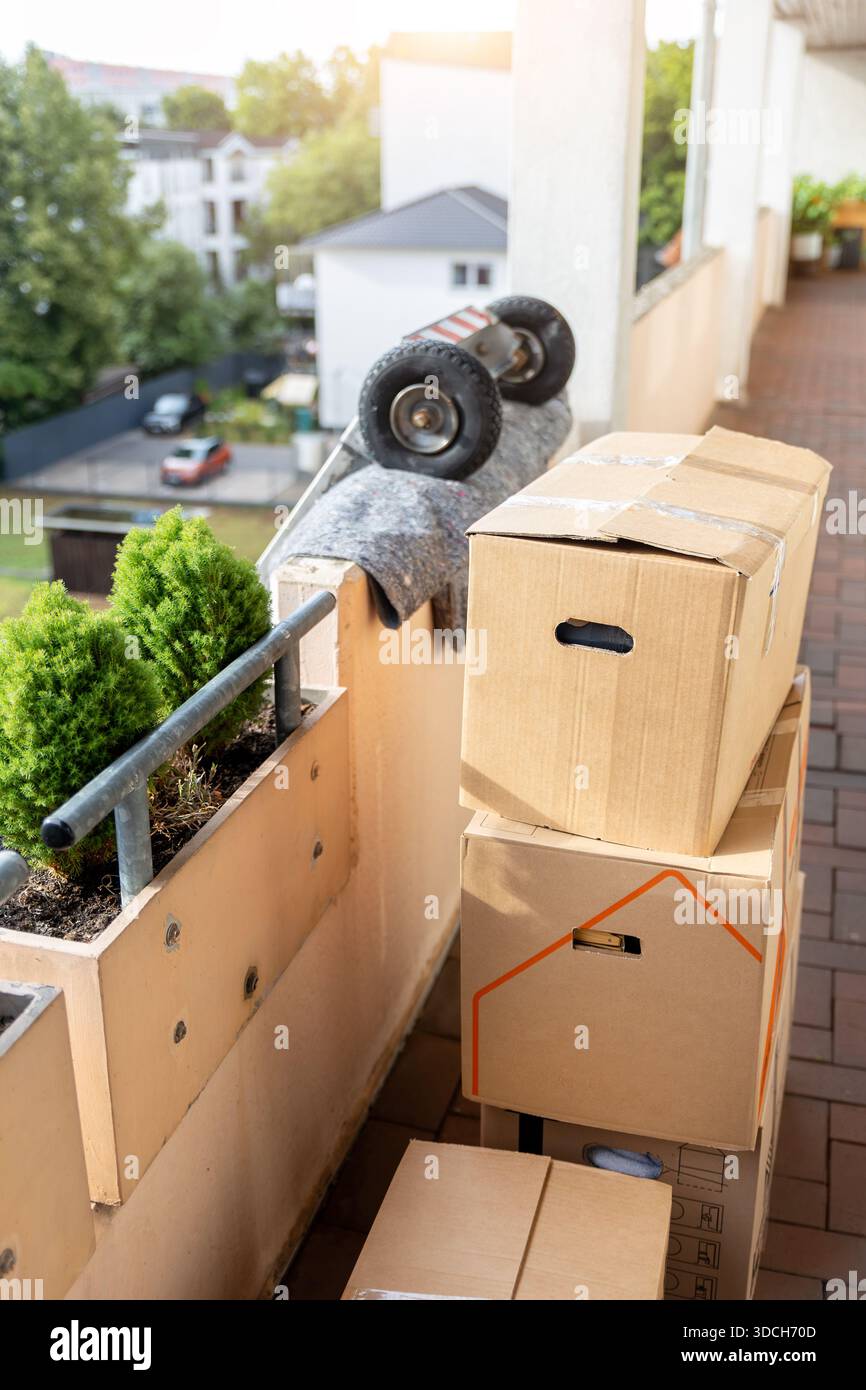 House terrace mover service lift ladder cargo crane platform cardboard ...